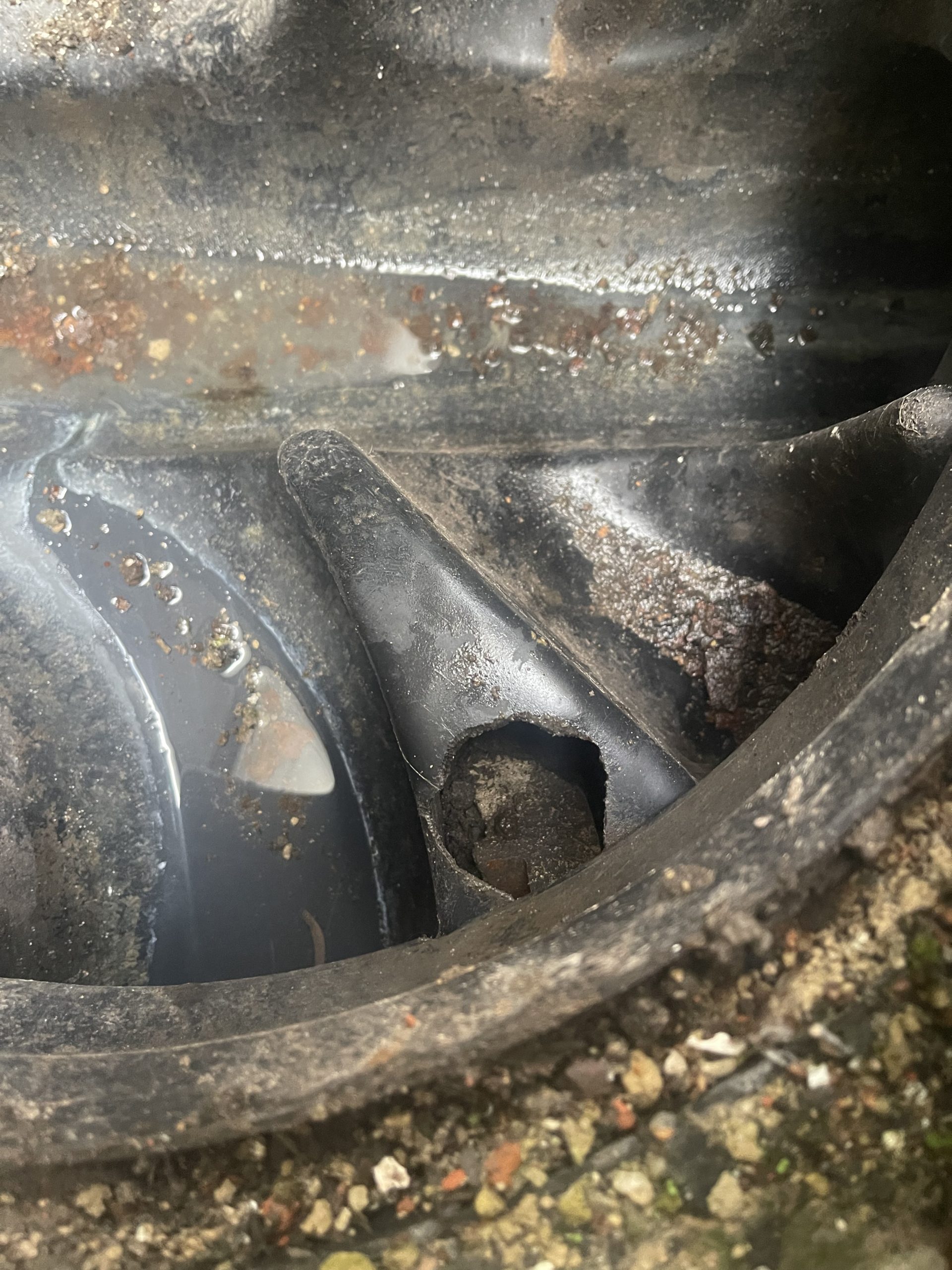 Lifting the lid on Rats… – Rattraxs Pest Control