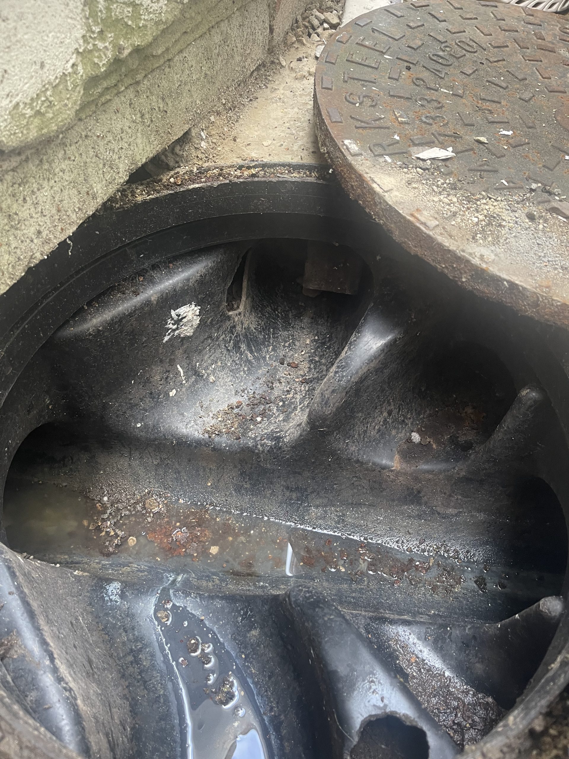 Lifting the lid on Rats… – Rattraxs Pest Control