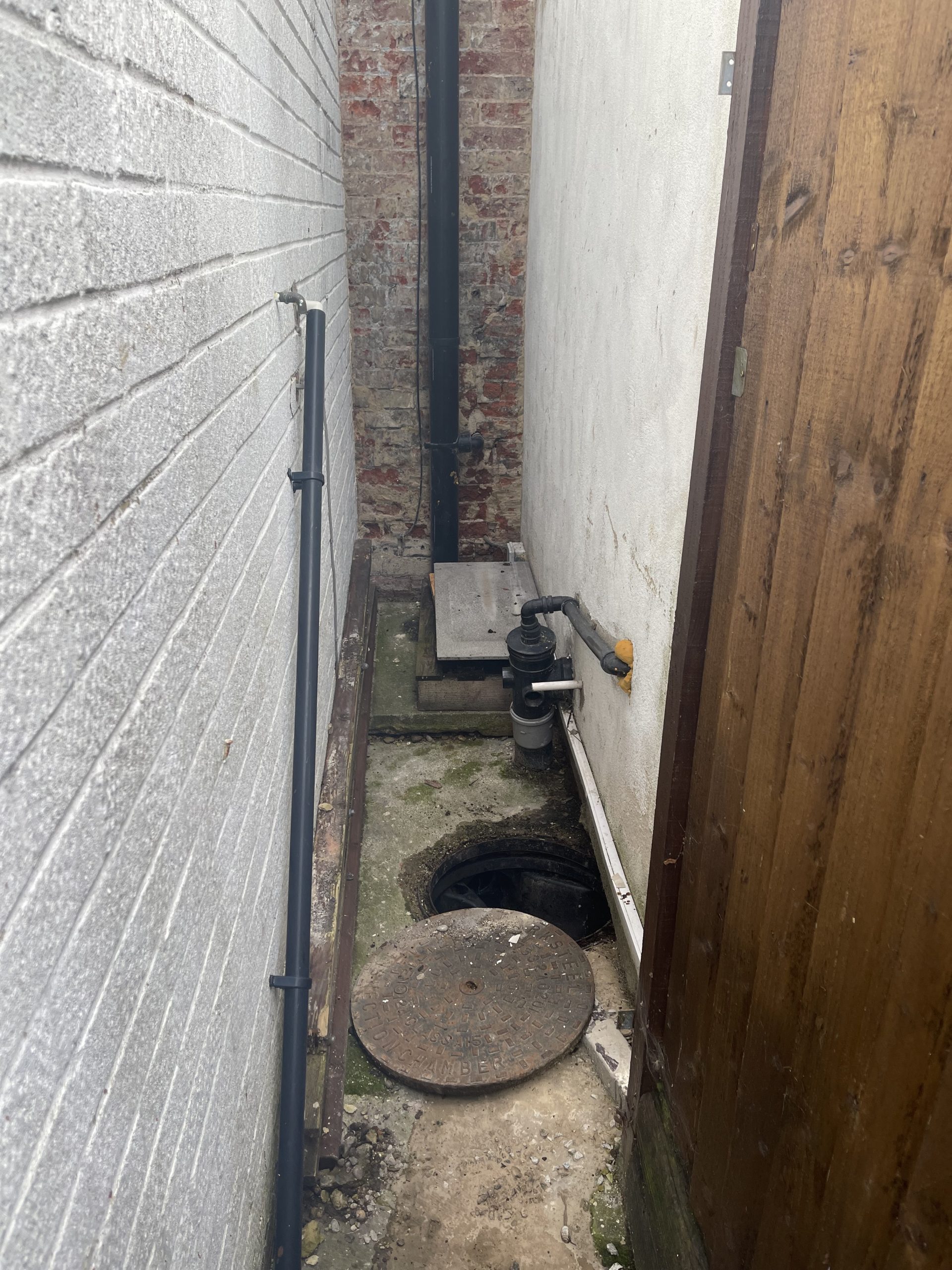 Lifting the lid on Rats… – Rattraxs Pest Control