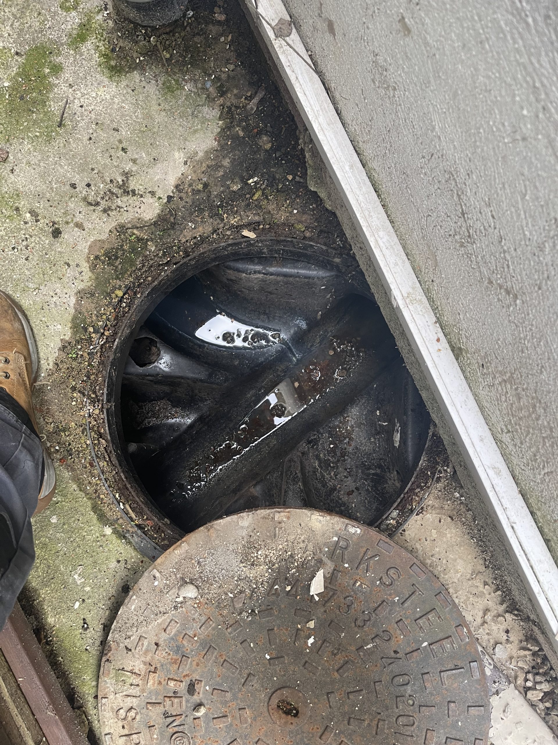 Lifting the lid on Rats… – Rattraxs Pest Control